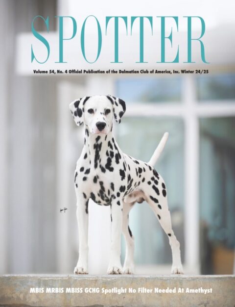 The Spotter - Dalmatian Club of America Magazine - The Spotter